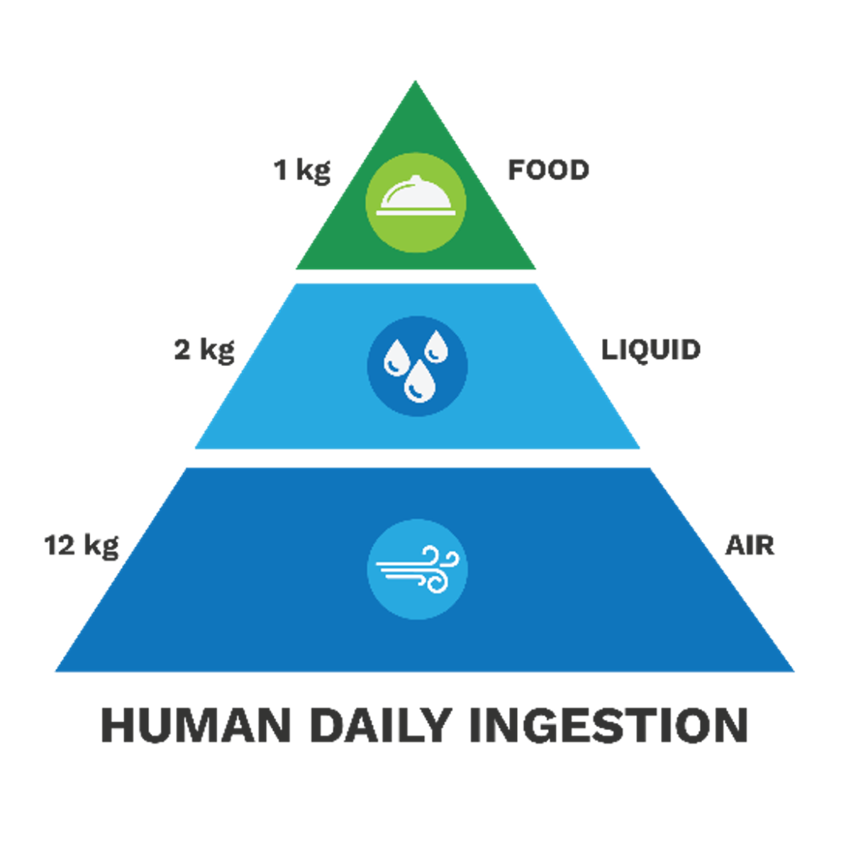 Three Tools to Help Determine if Your Home May Be Making You Sick ...