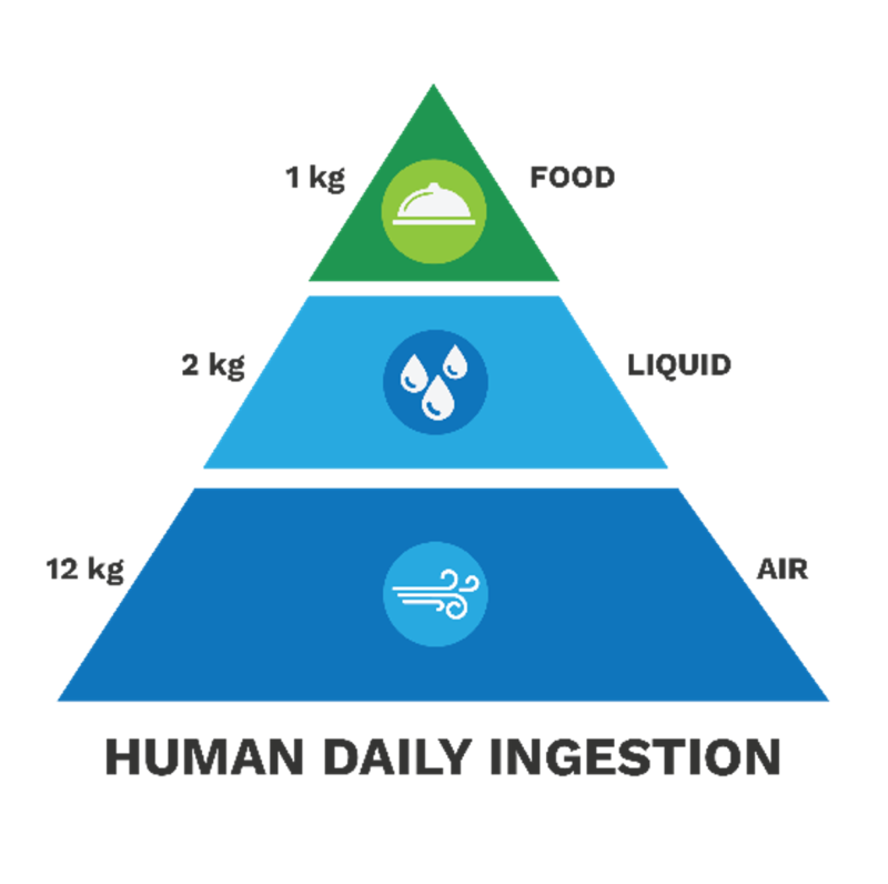 Three Tools to Help Determine if Your Home May Be Making You Sick ...